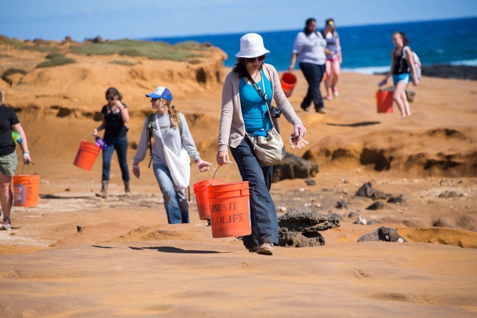Field Lab: Finding Flotsam in Hawaii | Semester at Sea